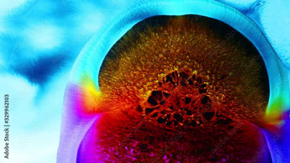 Bright Colorful rainbow red reaction with liquid ink / paint drop stain ...