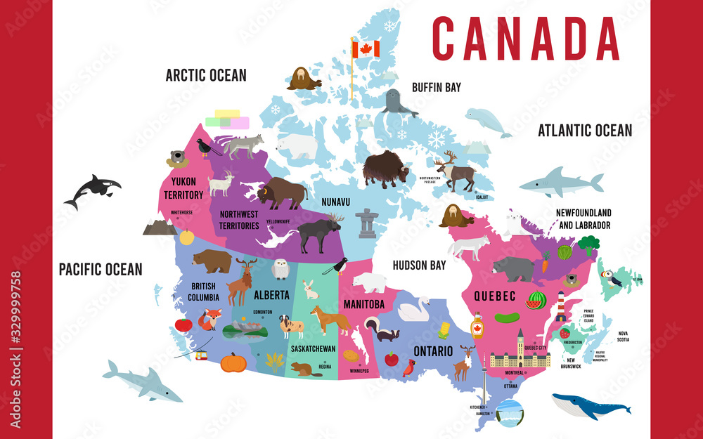 Vector Illustration of Canada map animal flat design Stock Vector ...