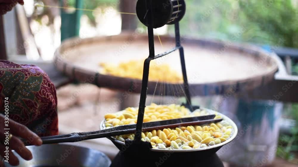 Woman weaving and spinning natural colorful threads or yarn. Raising ...