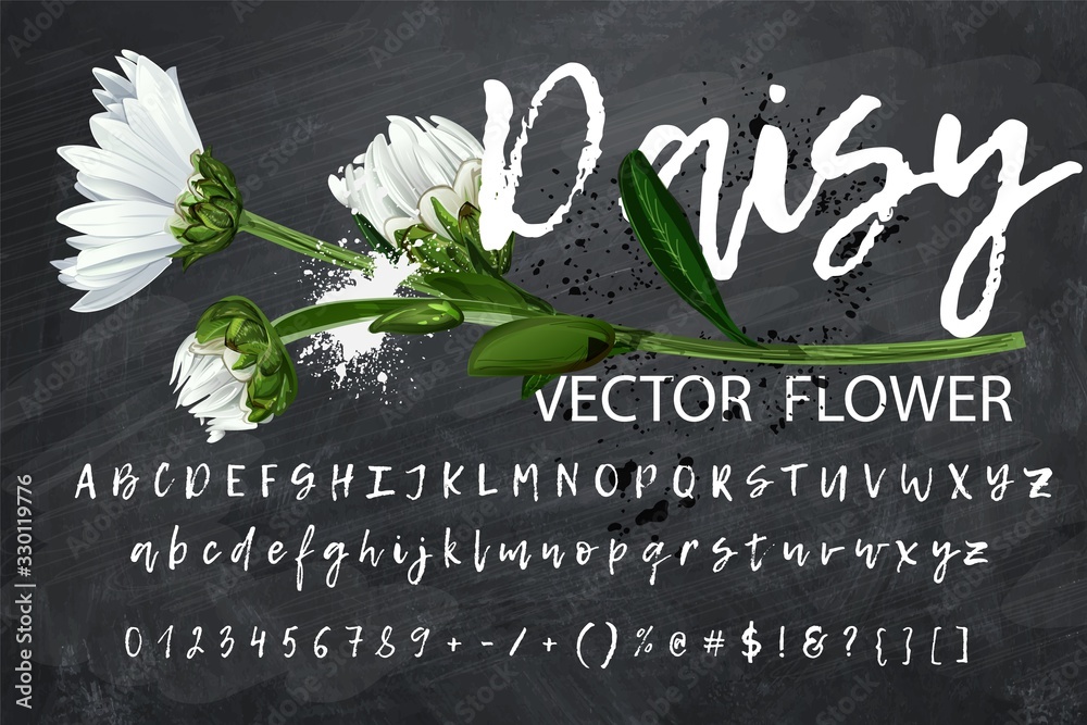 Daisy flower vector background with alphabet. Chamomile blossom ...