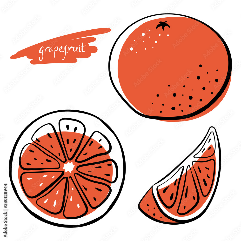 Grapefruit, whole, half and slice. Colorful sketch collection of citrus ...