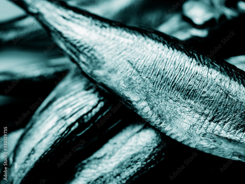 Cold smoked salaka ready to eat. Smoked fish close-up on a plate. Sea ...