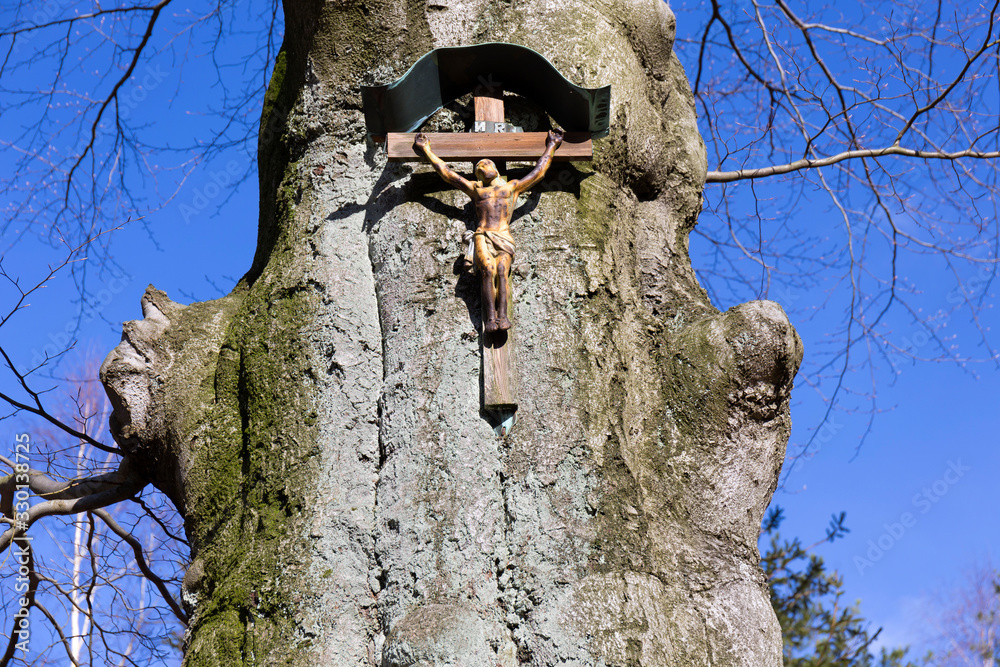 Jesus crucified on a mighty Beech Tree, Jizera Mountains, Czech ...