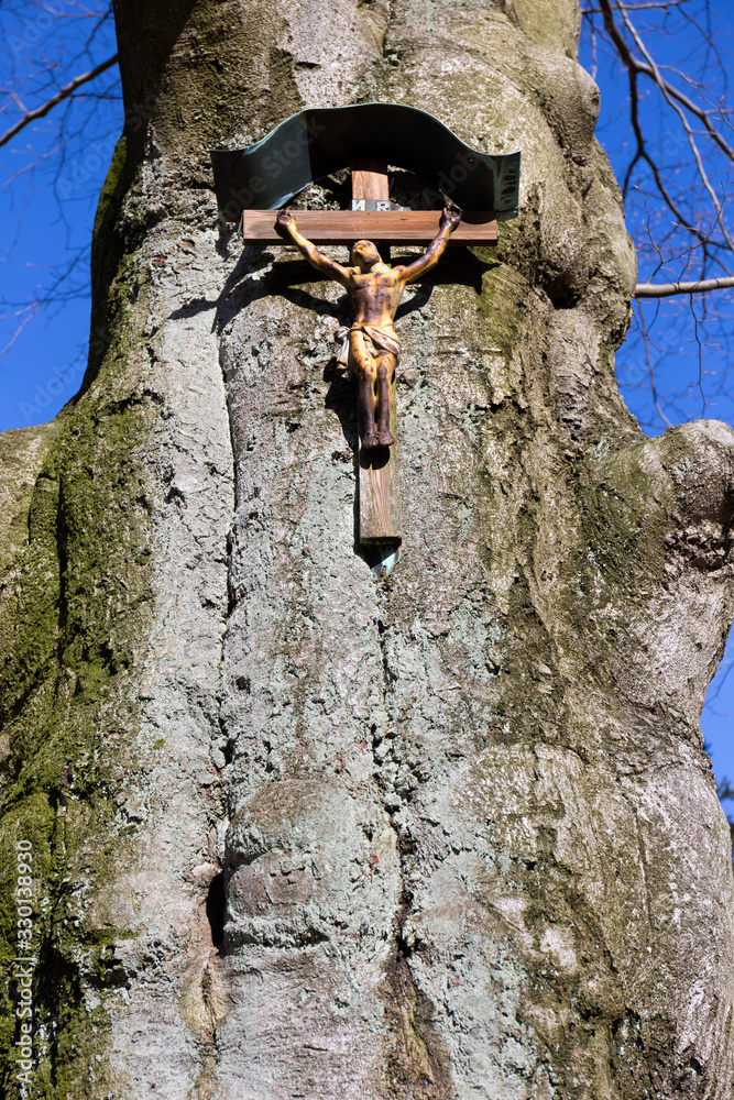 Jesus crucified on a mighty Beech Tree, Jizera Mountains, Czech ...