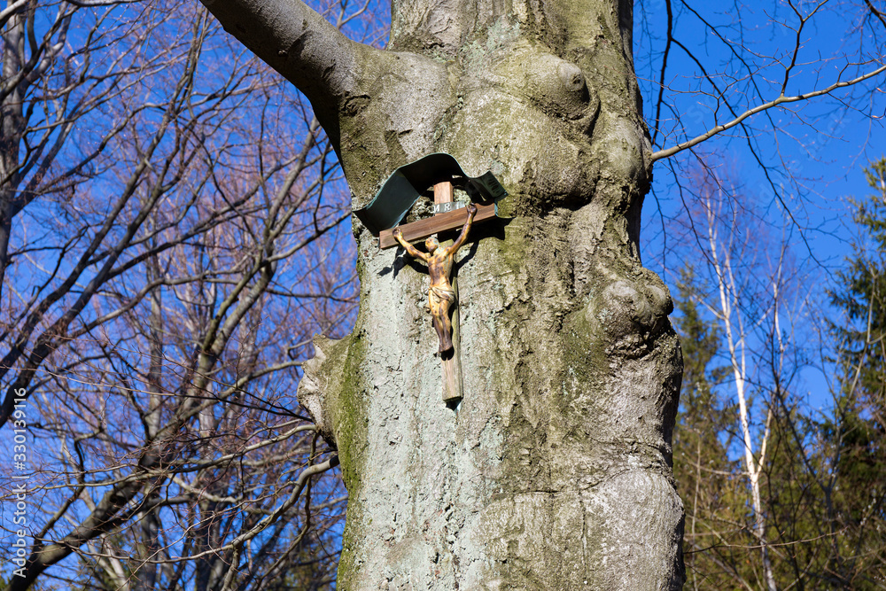 Jesus crucified on a mighty Beech Tree, Jizera Mountains, Czech ...
