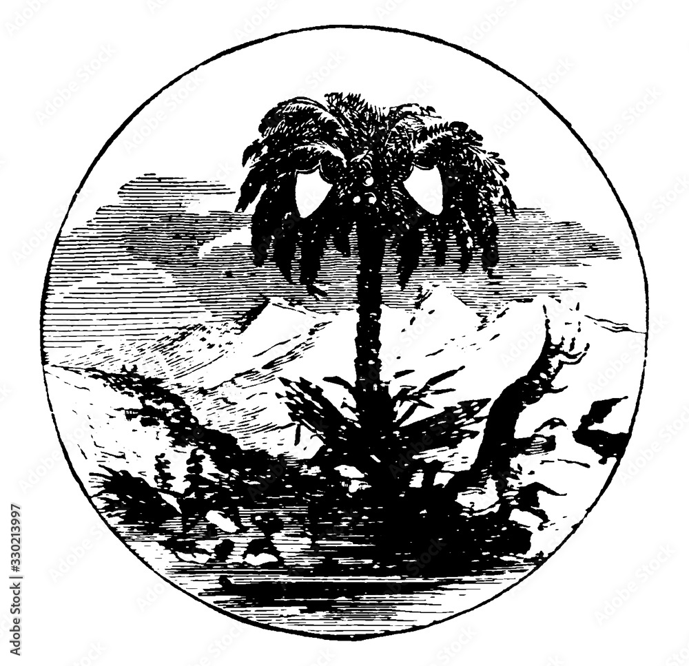 The official seal of the U.S. state of South Carolina in 1889, vintage ...