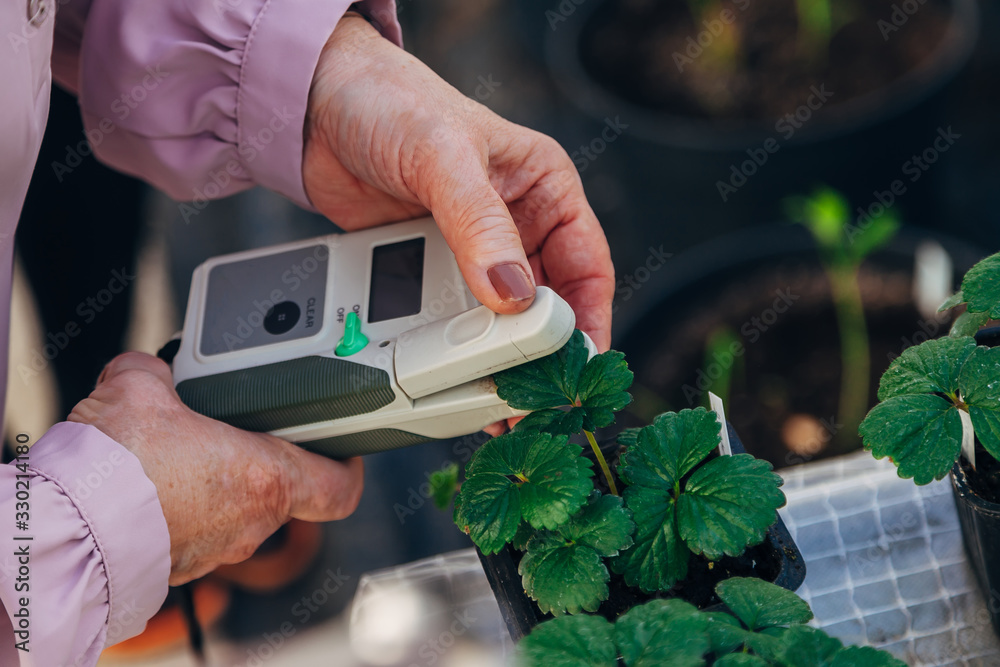 Modern portable device for measuring the chlorophyll and nitrogen ...