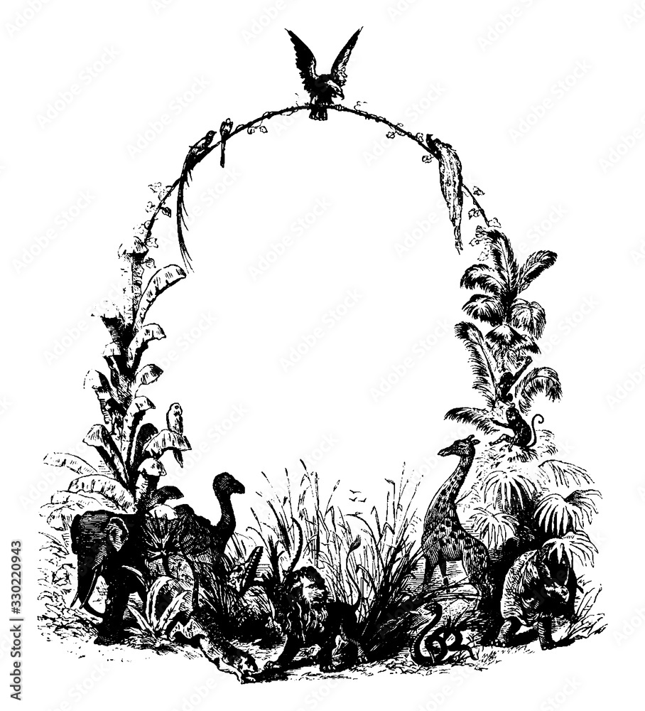 Wildlife frame have several different types of birds and a rabbit ...