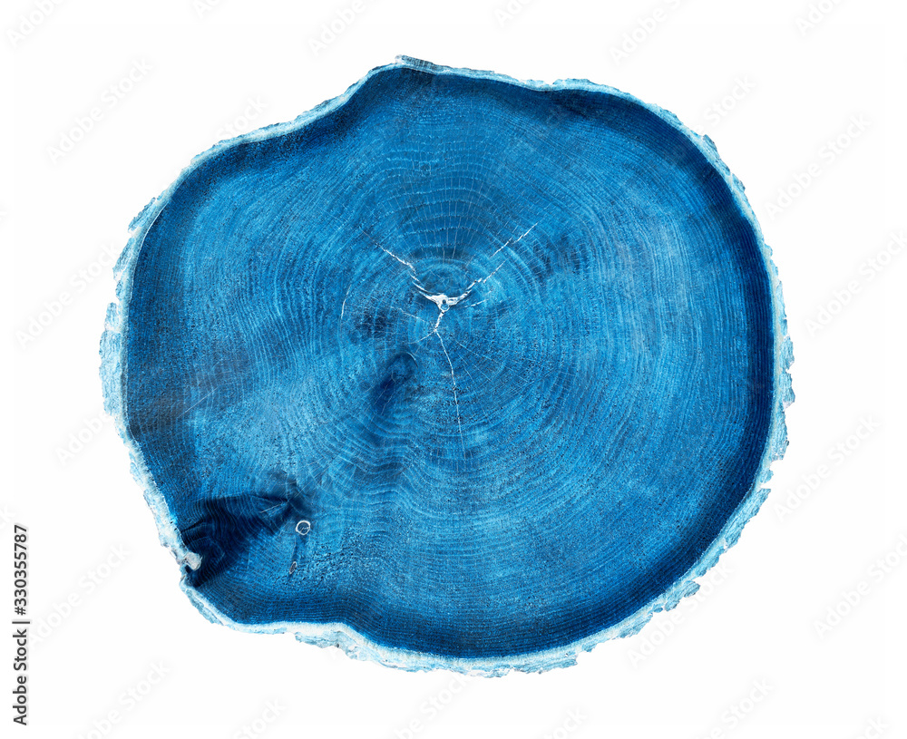 Monotone blue cut wood texture. Detailed flat background of a felled ...