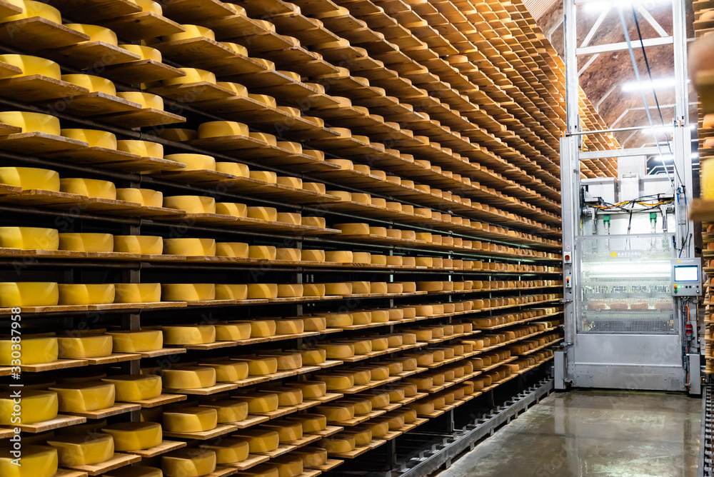Cow milk cheese, stored in a wooden shelves and left to mature Stock ...