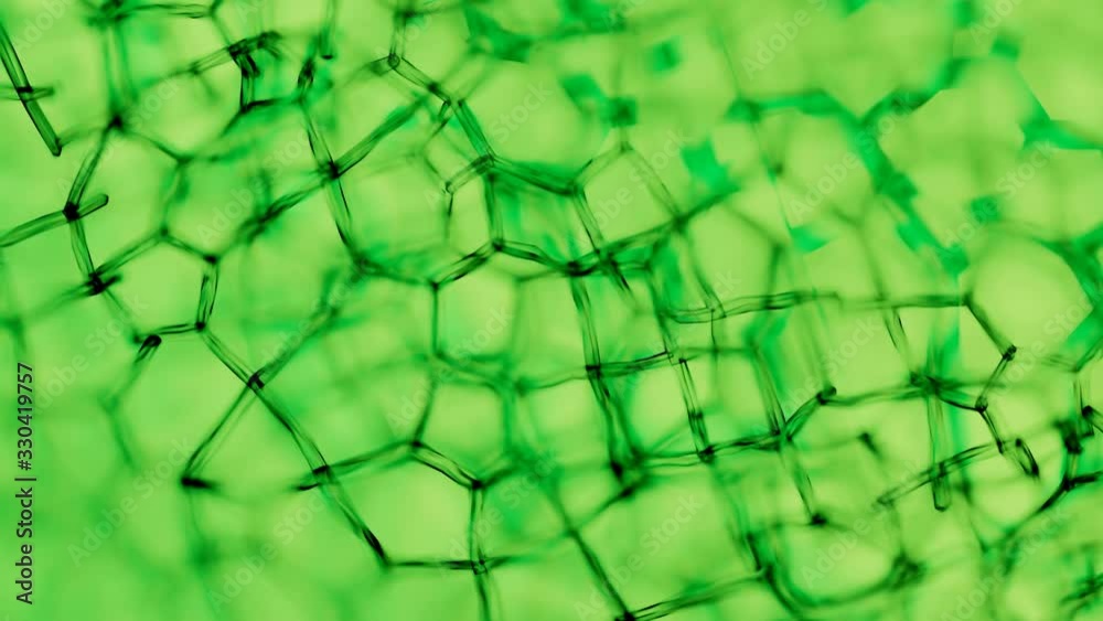 Generic green plant cells under a microscope. Seamless looping ...