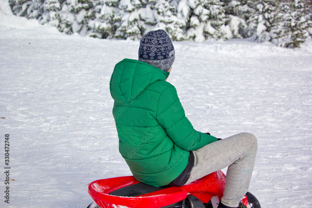 Turkey Sled
