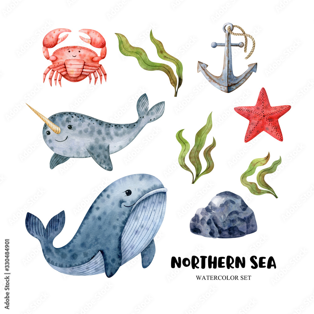 Set with whale, narwhal, crab, seaweeds, starfish and rusty anchor ...