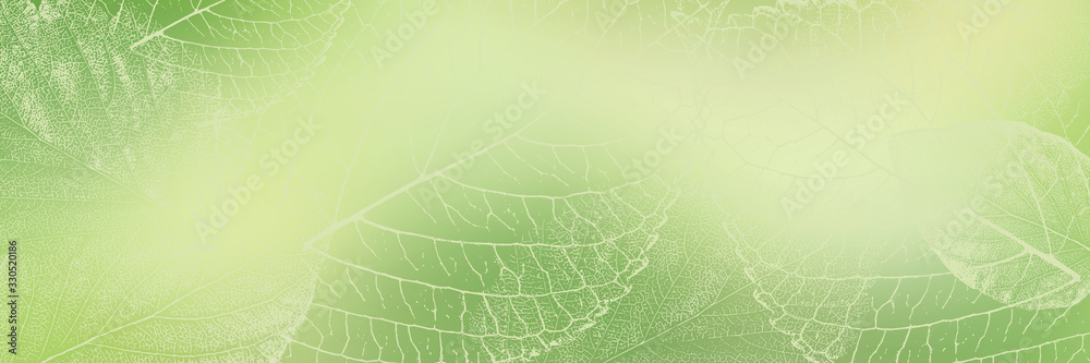 Light spring background, shades of green, banner, leaves Stock Vector ...