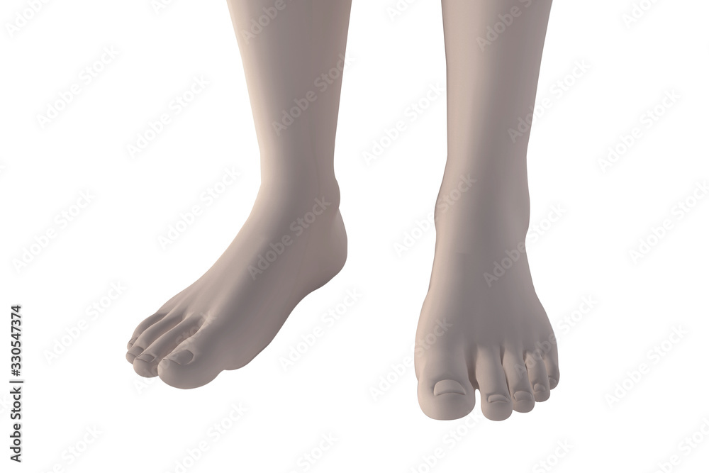 3d human model. Pictures of Human Reference For 3d Modeling. Man and ...