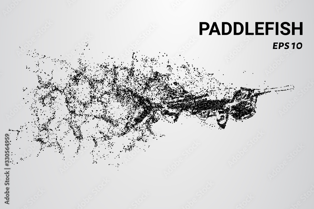 Paddlefish from the particles. Paddlefish consists of circles and dots ...