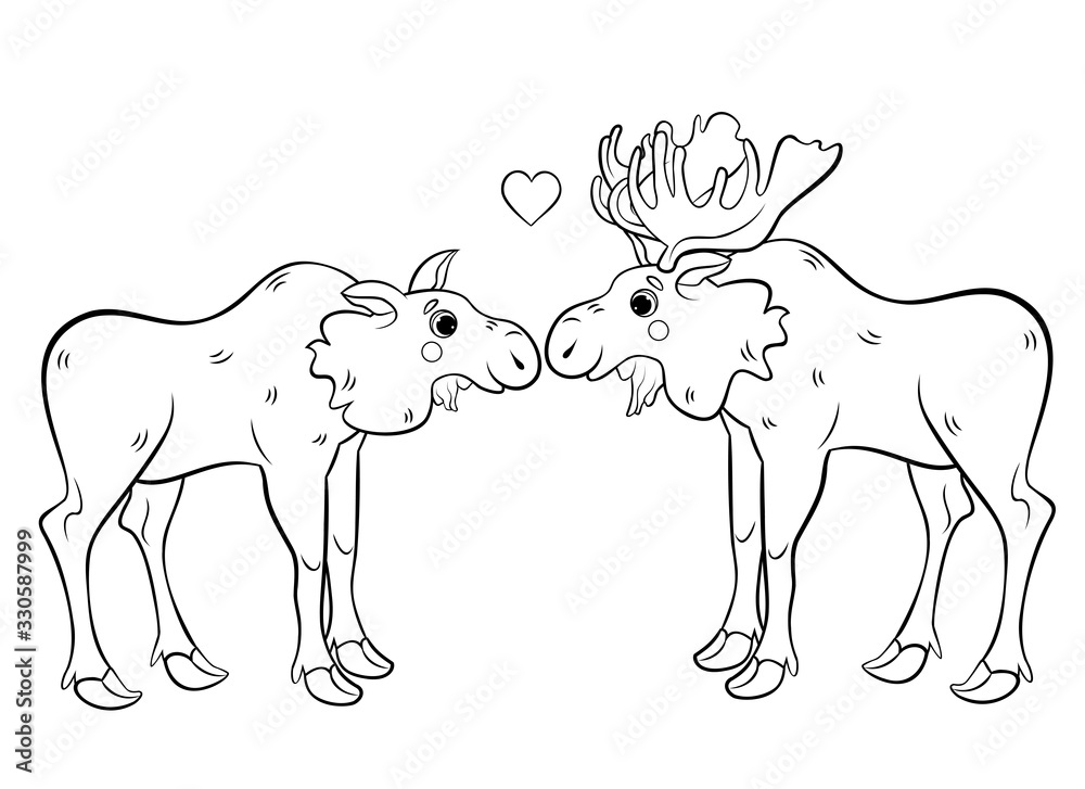 Female Moose Drawing