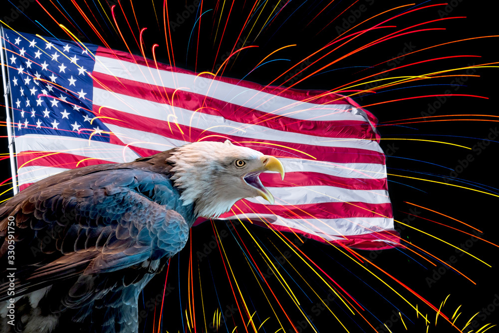 American Flag, bald eagle and Fireworks in Night Sky Stock Photo ...