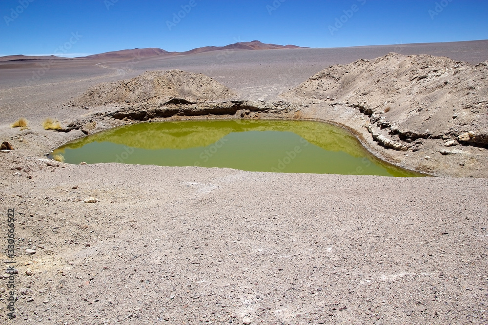 Little lake at the Salar de Arizaro at the Puna de Atacama, Argentina ...
