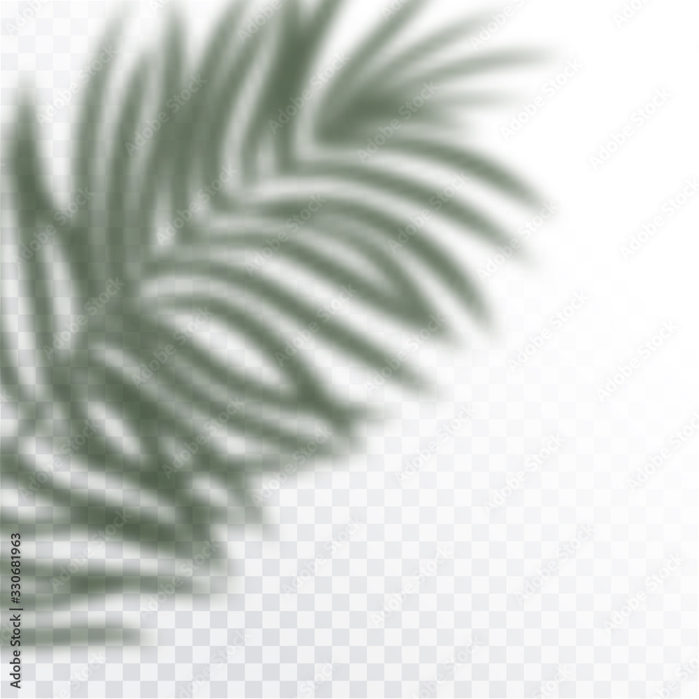 Transparent shadows of tropic Leaves. The shadow overlay effect ...