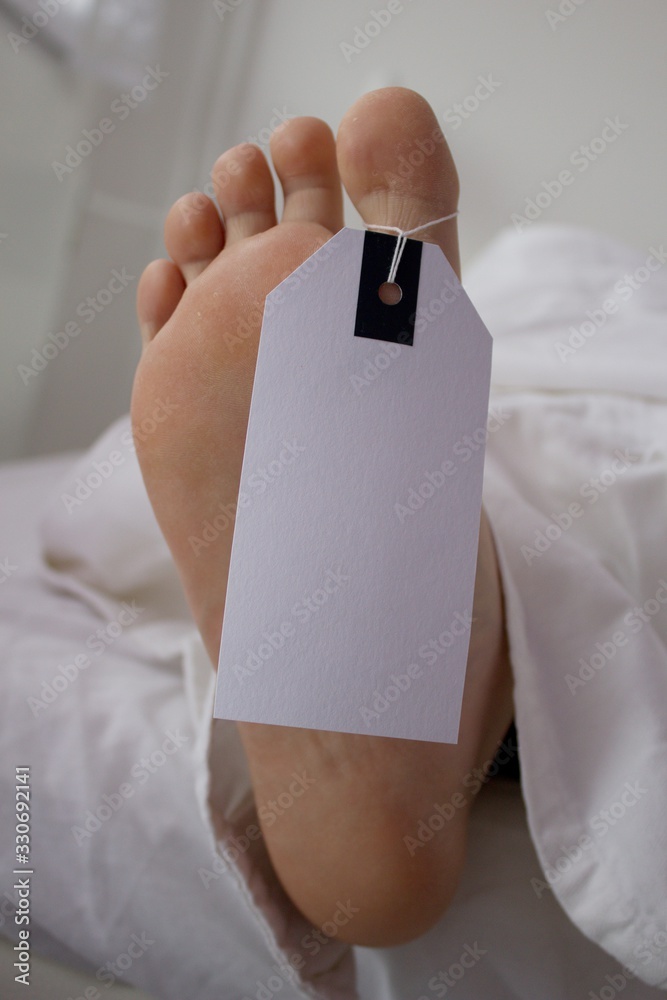 Real Dead Bodies In Morgue