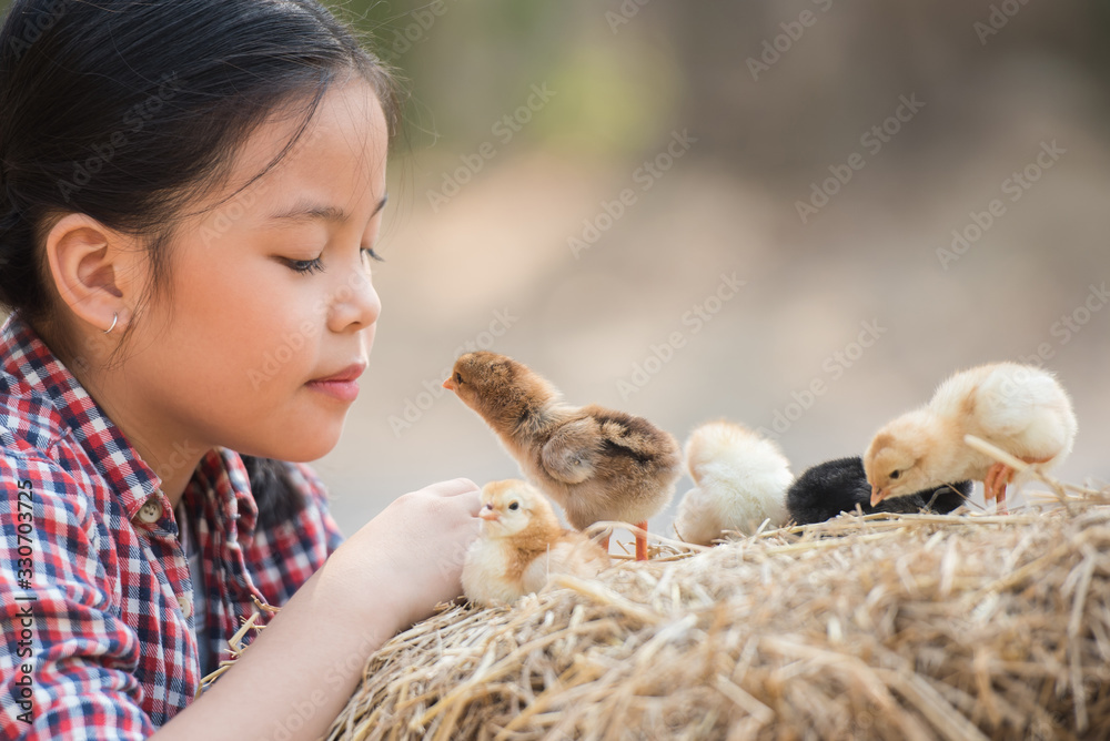 happy little girl with of small chickens sitting outdoor. portrait of ...