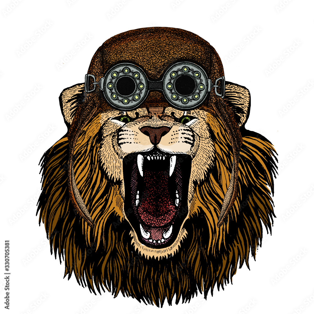 Lion. Wild animal portrait. Face of african cat. Aviator flying leather ...
