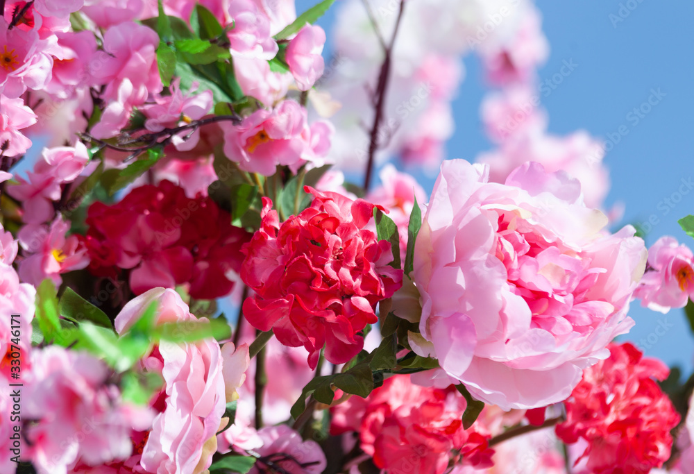 flovers Stock Photo | Adobe Stock