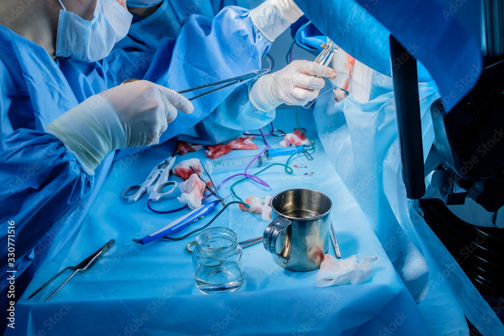 Bloodied hands of surgeons in sterile latex gloves with surgical ...