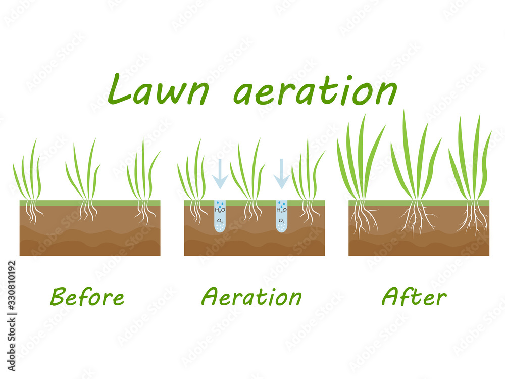Lawn aeration stage illustration, lawn grass. Before and after stage ...