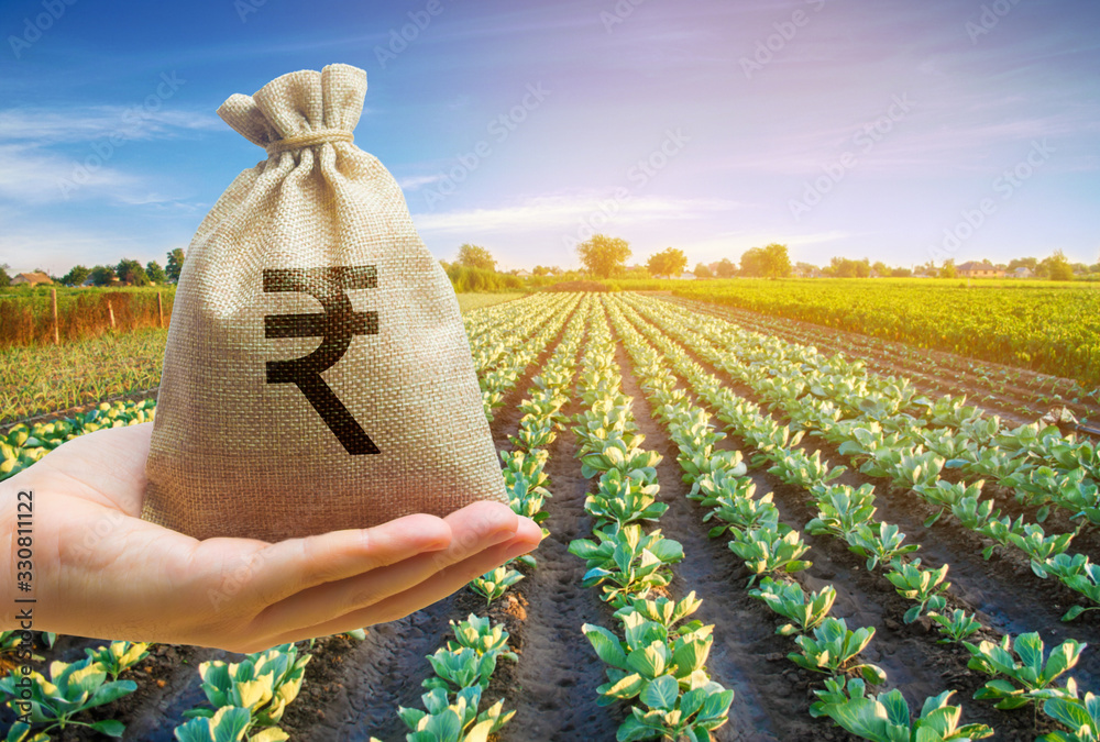 Money bag on the background of agricultural crops in the hand of the ...