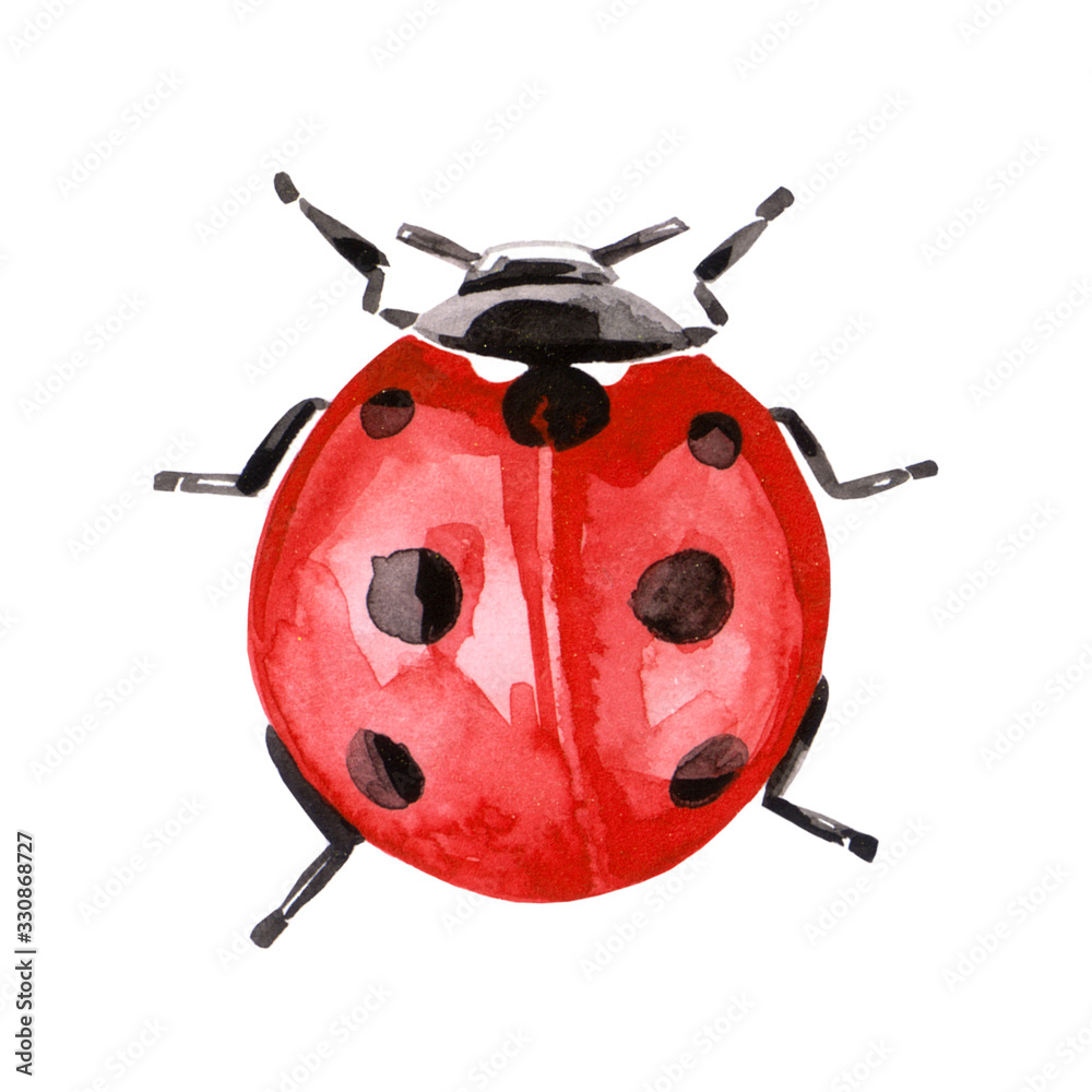 Watercolor illustration of ladybug in red ink with black spots Stock ...