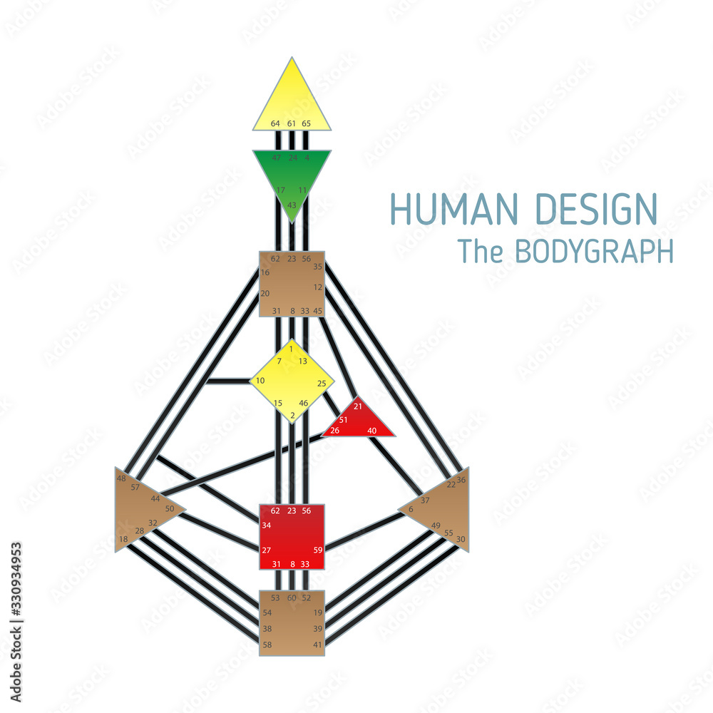Human design bodygraph chart design. Vector isolated illustration ...