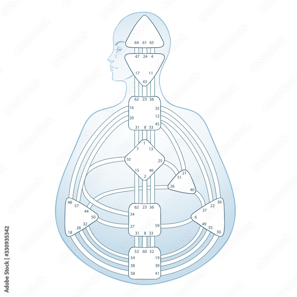 Human design bodygraph chart design. Vector isolated illustration ...