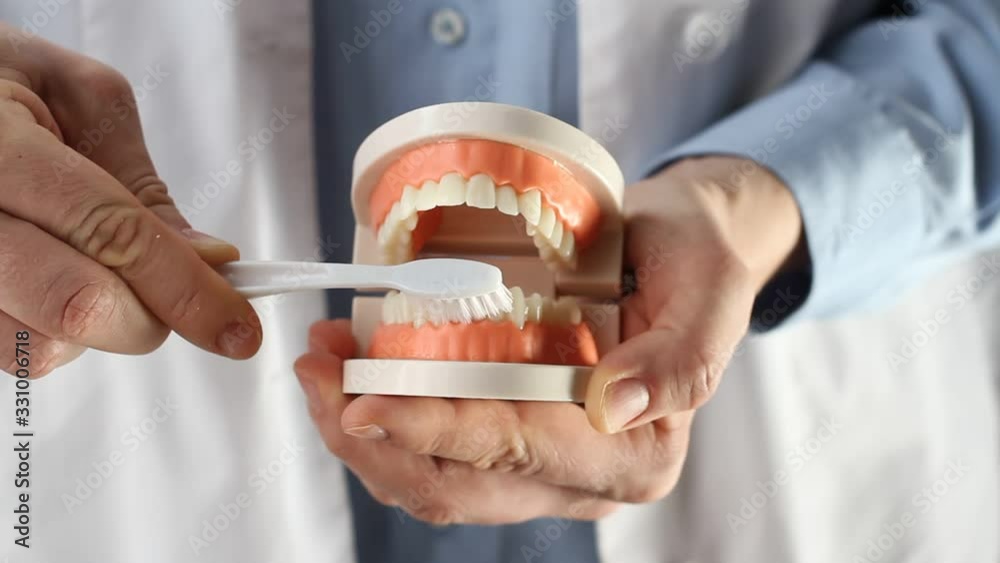 Dentist showing jaw model, giving lesson on proper teeth and oral ...