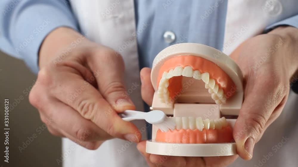 Stockvideo Dentist showing jaw model, giving lesson on proper teeth and ...