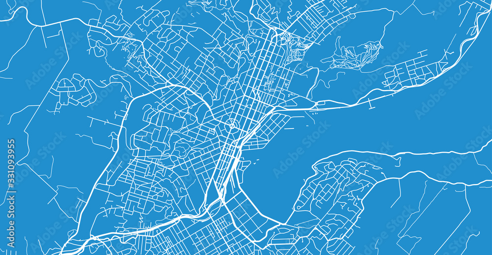 Poster Urban vector city map of Dunedin, New Zealand – Wall Art | UkPosters