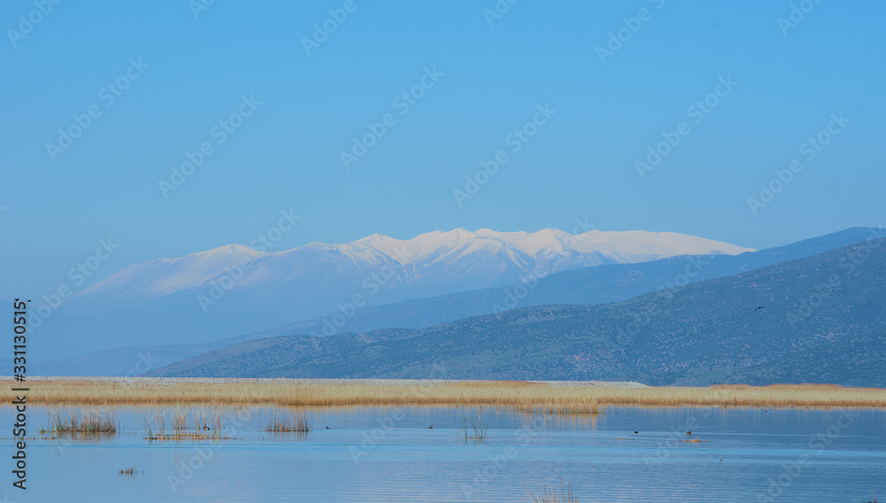 lake Karla , Greece , wild flora and fauna, in a protected ecological ...