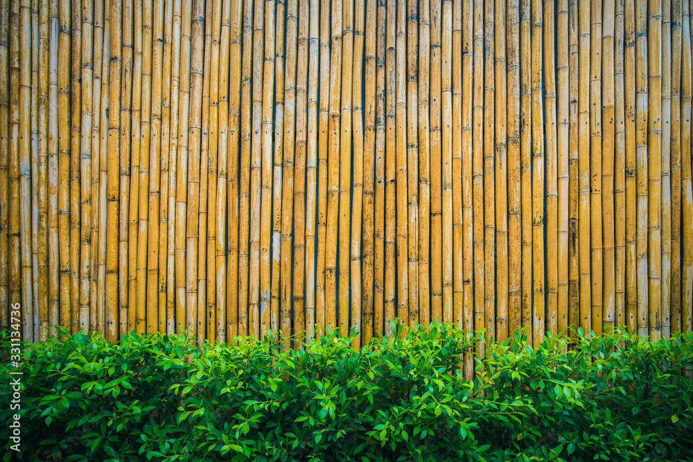 bamboo wall and trees.Natural background and free space to insert text ...