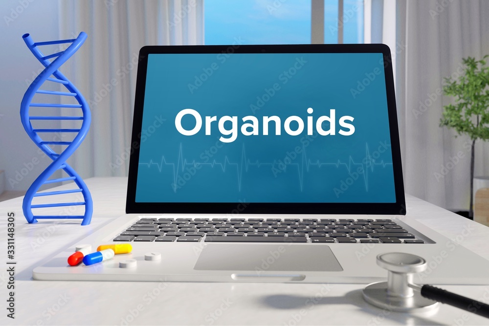 Organoids – Medicine/health. Computer in the office with term on the ...