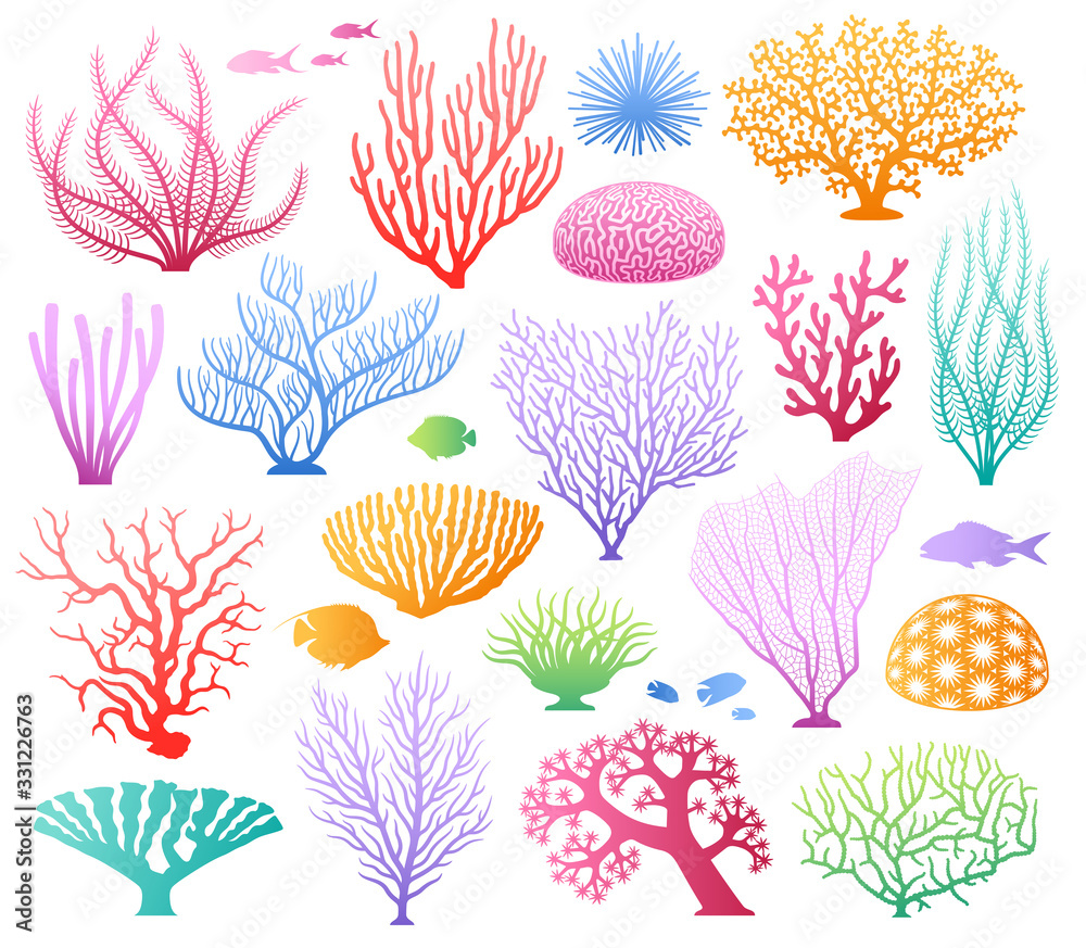 Ocean Coral Clip Art