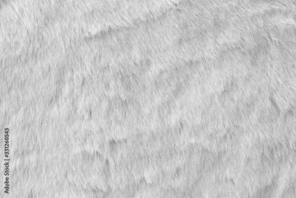 White real wool with a white top texture background, light natural ...