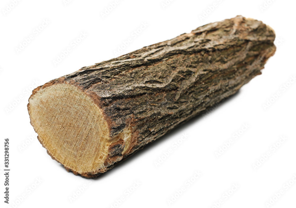 Acacia stump, log fire wood isolated on white background Stock Photo ...