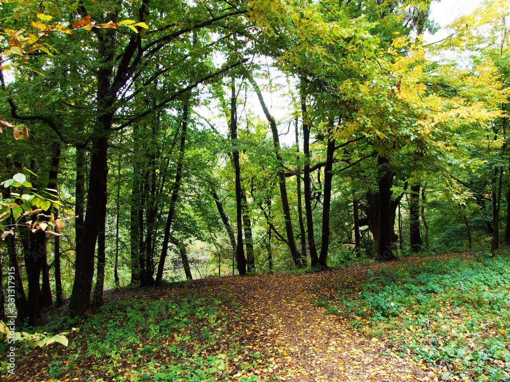The Rakov Škocjan Natural Education and Hiking Trail in the Rakov ...