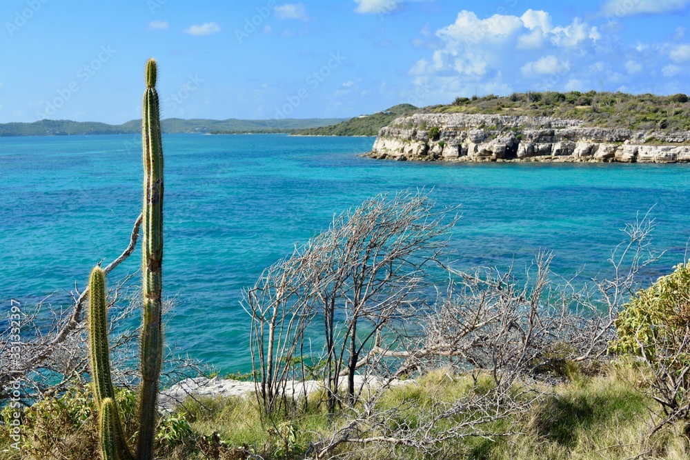 Caribbean Landscape Antigua Island Coastal Water Beach Coast Stock ...