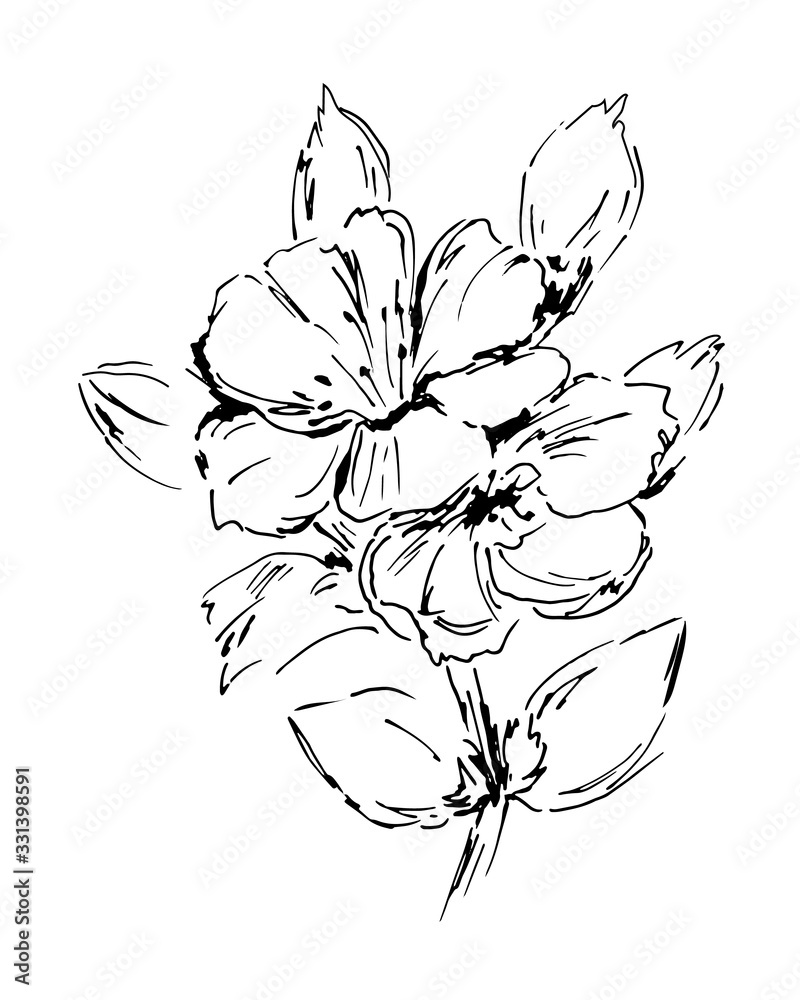 Beautiful sketchy drawing of a twig with blooming flowers, floral ...