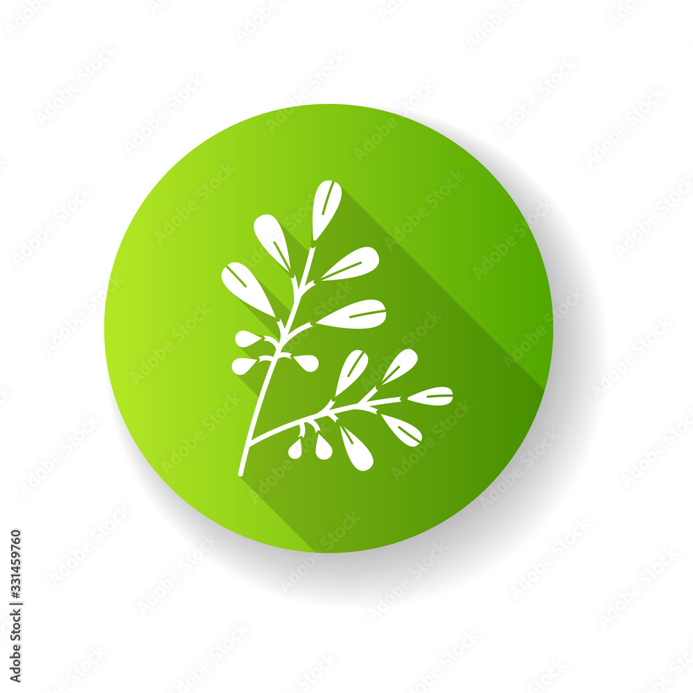 Coca green flat design long shadow glyph icon. Branche of cocaine tree ...