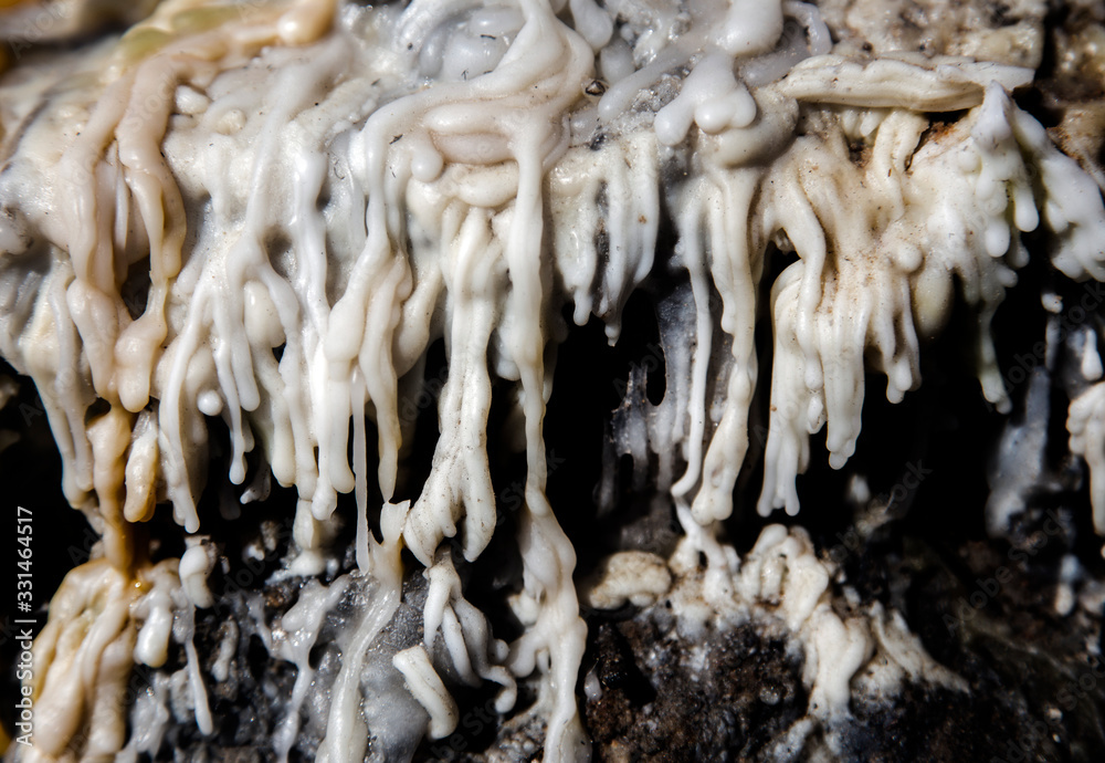 candle dripping as wax water in abstract background Stock Photo | Adobe ...