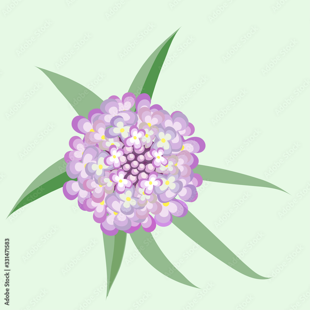Light Pink Cartoon Flower