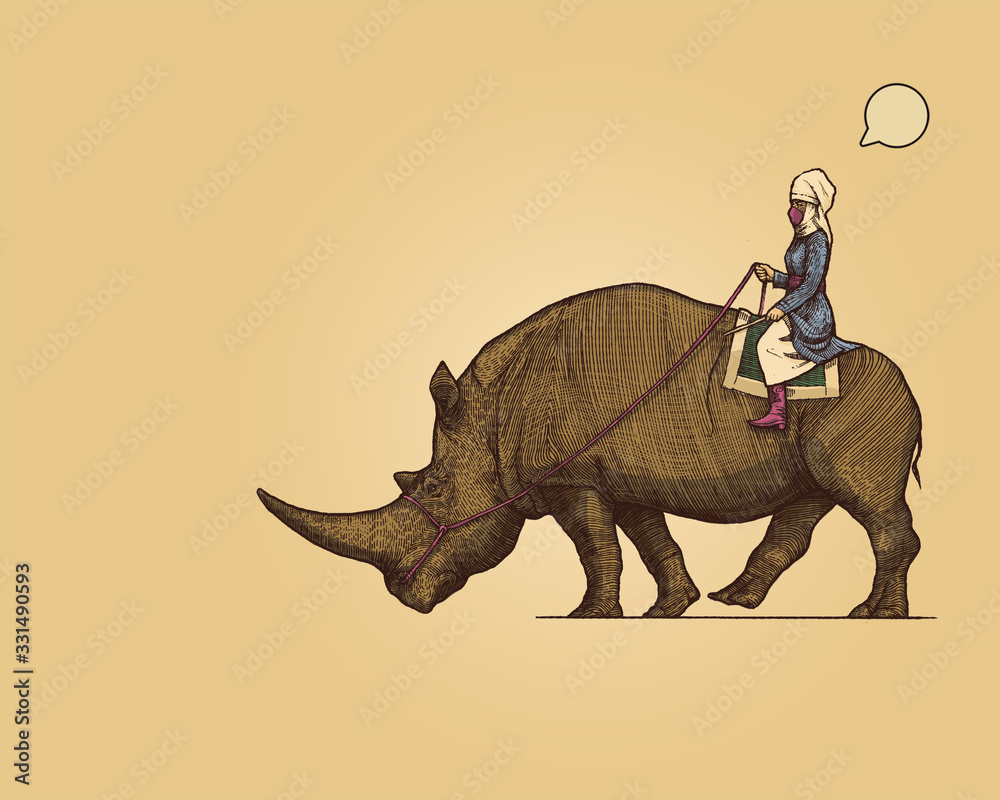 Riding Rhino